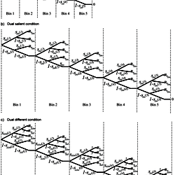 Tree diagrams in Experiment 2.