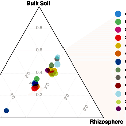Ternary plot of distribution of bacterial taxonomic groups among sample ...