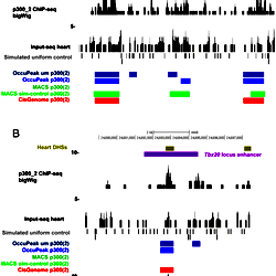 Visualization of overlap analysis.