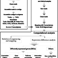 Bioinformatics workflows for data analysis.