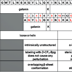 Structural characteristics of TP10.