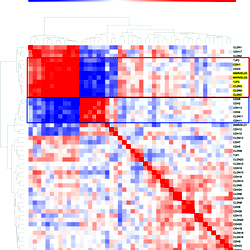 Similar to Figure 8, but showing CCLE colon cell lines.