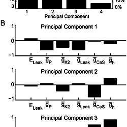 Principal components for the realistic bursters.