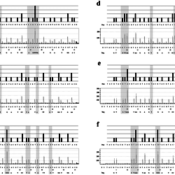Sequence analysis pyrograms of T. solium T. saginata and T. asiatica ...