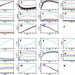 Model output of forward problem resulted from different solutions of ...