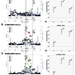Regional association plots of the top SNPs associated with total-body ...