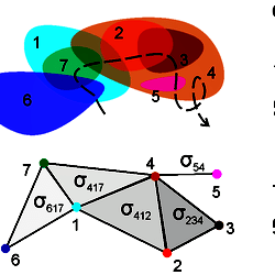 A simplicial complex can be derived from place cell co-firing.