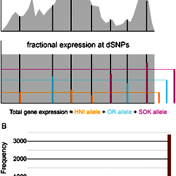 Illustration of ASE method and analysis of artificial data.