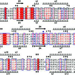 Structure based sequence alignment of different bacterial NALs.