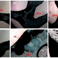 DPG particle distribution in etched glass model at different ...