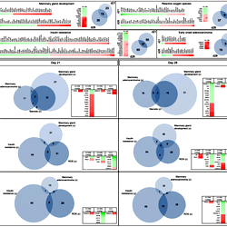 BioVenn diagram analysis of functional gene clusters: Displayed are the ...