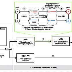 Network assembly framework.