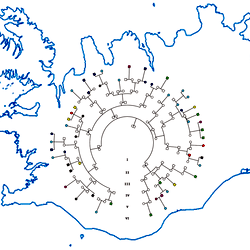 Icelandic genetics and genealogy