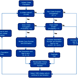 Flowchart of simulation.