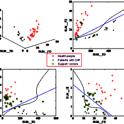 The SVM classifier from different input feature vectors.