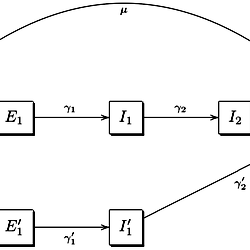 Progression of the model.