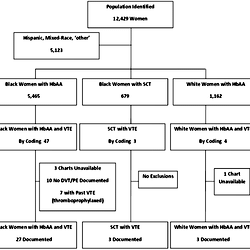 Flowchart of Study Patients.