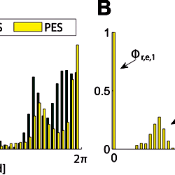 Relative frequencies of occurrence of phase differences.