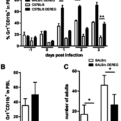 Item - Improved resistance in Treg-depleted BALB/c DEREG mice in the ...