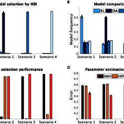 Performance of the HBI in a large model space.