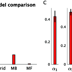 Using HBI for making inference on empirical datasets.