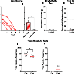 Conditioned taste aversion versus avoidance: A re-examination of the ...