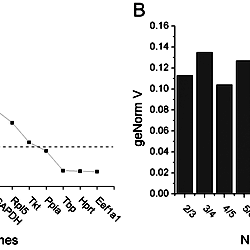 The values of geNorm M (A) and geNorm V (B) of 16 reference genes.