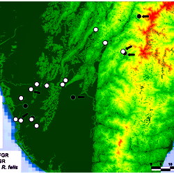 The case distribution of spotted fever group rickettsioses (SFGR ...