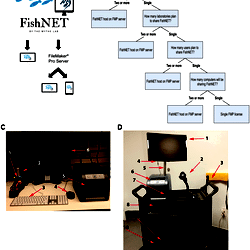 Schematic representation of FishNET configuration.