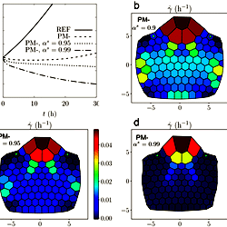 Coupling water fluxes with cell wall mechanics in a multicellular model ...