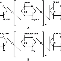 Chemical structure of CMC and COS.