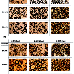 Optical microscope images of emulsions for altered concentrations of ...