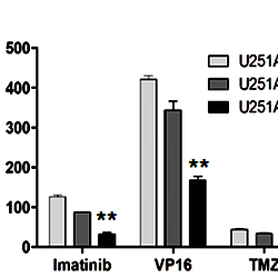 The cell viability (IC50) changes after PTRF konckdown.