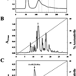 Purification of δ/ω-PLTX-Pt1a.