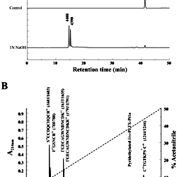 Structural characterization of δ/ω-PLTX-Pt1a.