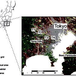 Map of the study area in the Tokyo metropolitan area of Japan.
