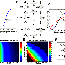 Comparison of MWC and MF models.