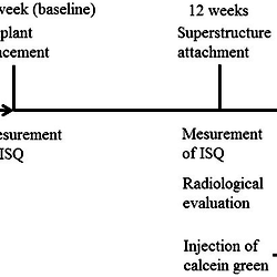Design of the animal experiment.