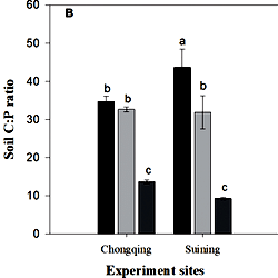 Soil carbon (C), nitrogen (N) and phosphorus (P) stoichiometry drives phosphorus lability in ...