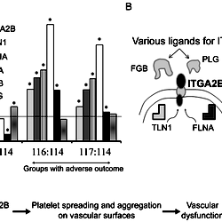 A) Histogram showing the iTRAQ ratios of selected proteins related to ...