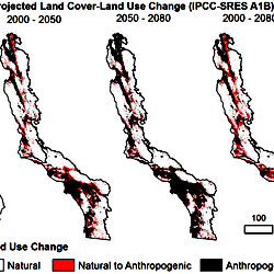 Projected Anthropogenic Land Use Change Maps.