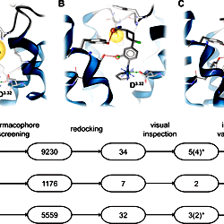 Virtual screening workflow results in 8 compounds out of 1.4 M for in ...