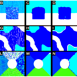 Illustration of multiphase texture segmentations.