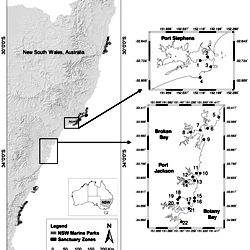 Map of southeastern Australia showing the estuaries and open coast ...
