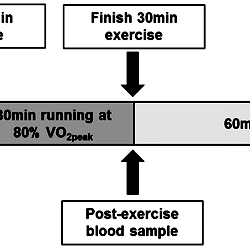 A schematic overview of participant blood sampling and exercise ...