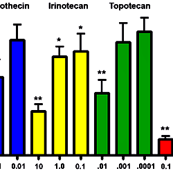Clinically utilized TOP1 inhibitors show variable toxicities to MPC cells.