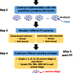 Flowchart describing the different steps of the simulation approach.