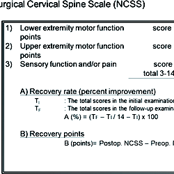 The neurosurgical cervical spine scale (NCSS) grading and scoring ...