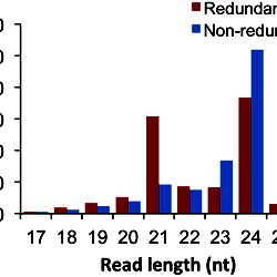Sequencing library size distribution.