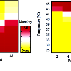 The statistical heat maps of mortality under different temperature for ...